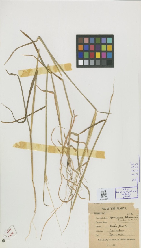 National Seed Bank - National Center for Agricultural Research